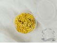 Купить Сухоцвет спирея желтая | EasySoap.com.ua